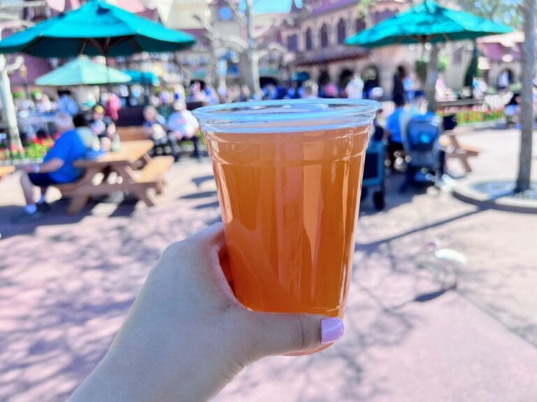 How to Do the Germany Pavilion at EPCOT Like a Pro | Drinking Around ...