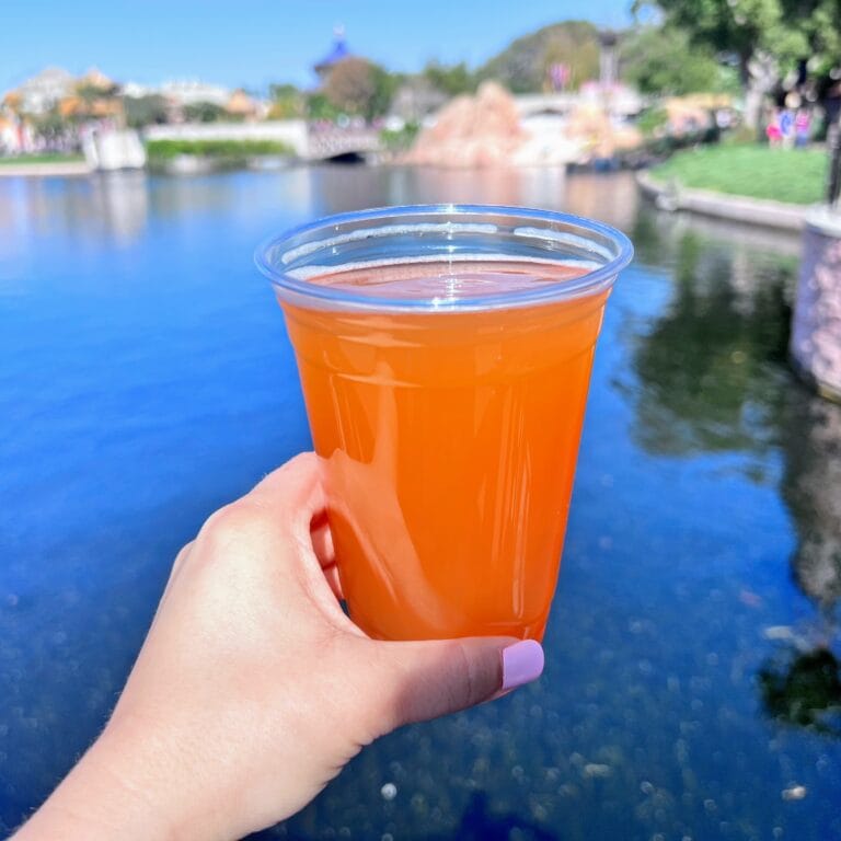 The BEST Drinks and Snacks from the Germany Pavilion (Drinking Around ...