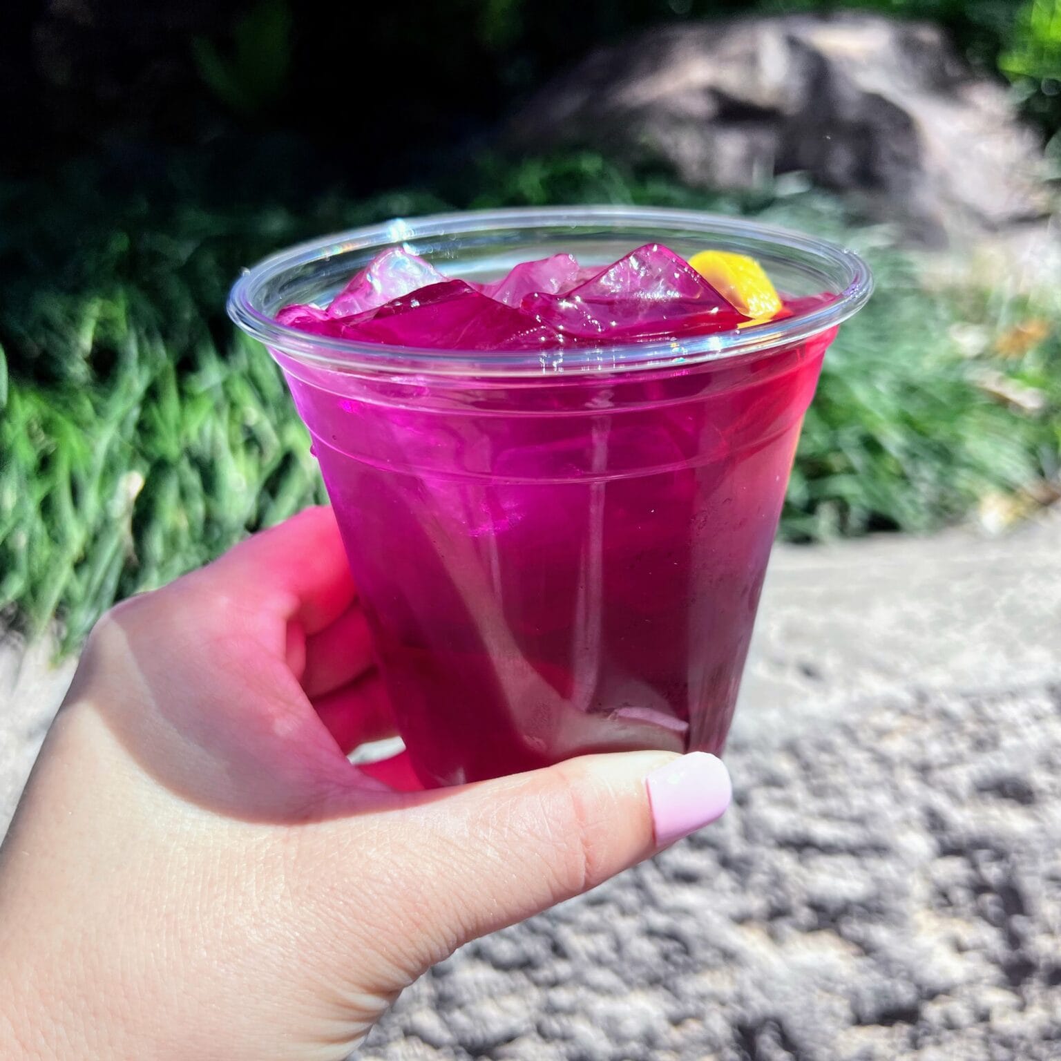 Violet Sake from EPCOT (with Recipe)