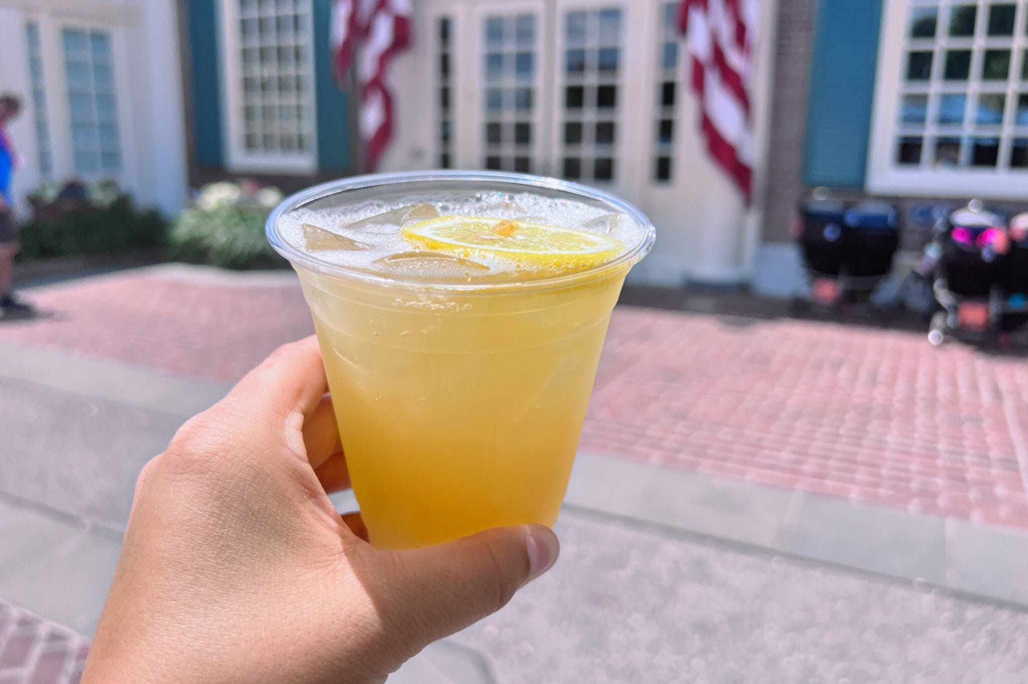 The 5 BEST Bars in EPCOT