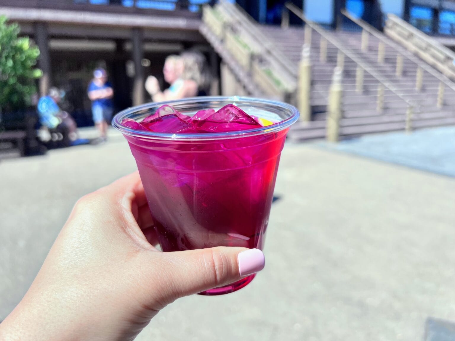 Violet Sake from EPCOT (with Recipe)