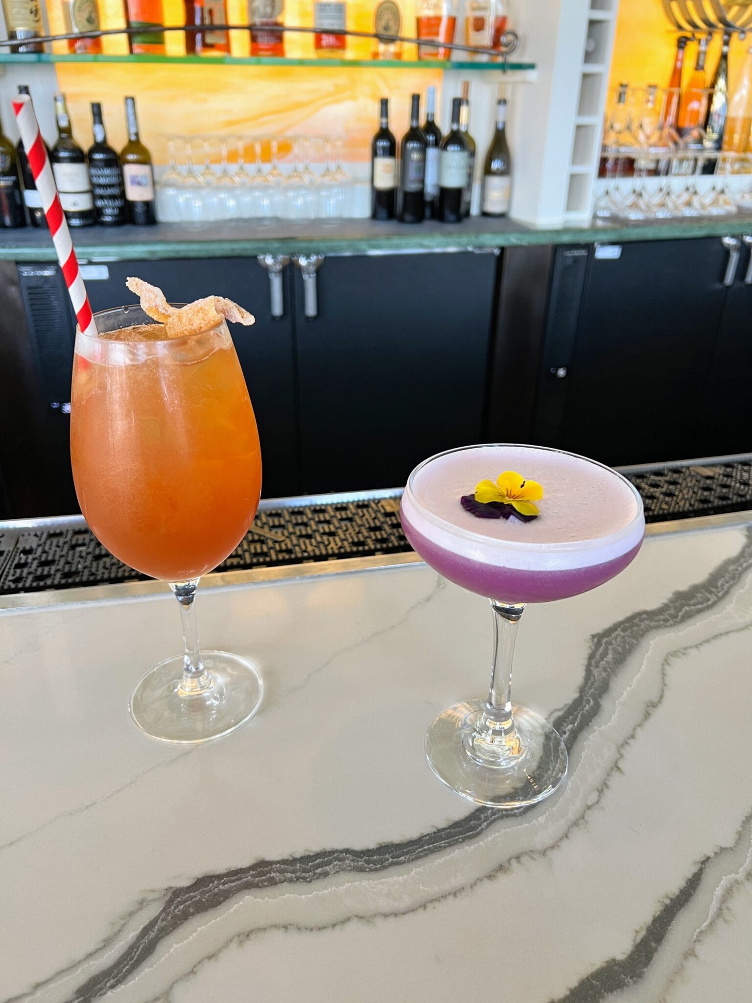 Disney Day Drinkers Club (D3): Inside the Fun