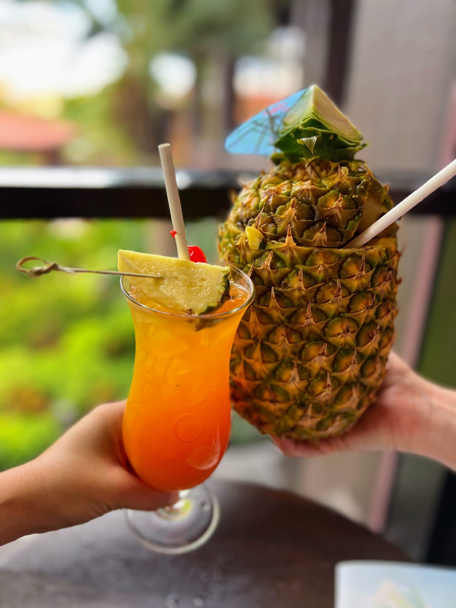 Disney Day Drinkers Club (D3): Inside the Fun