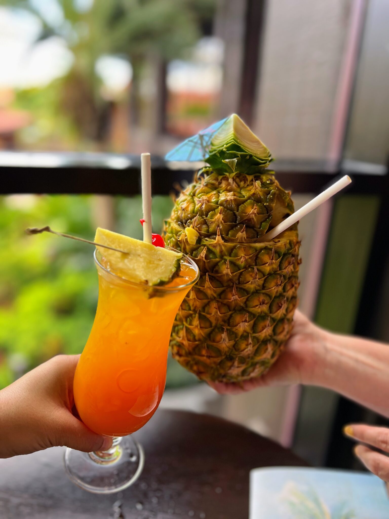 Disney Monorail Bar Crawl: Complete Guide to Bars, Drinks, and Tips for ...