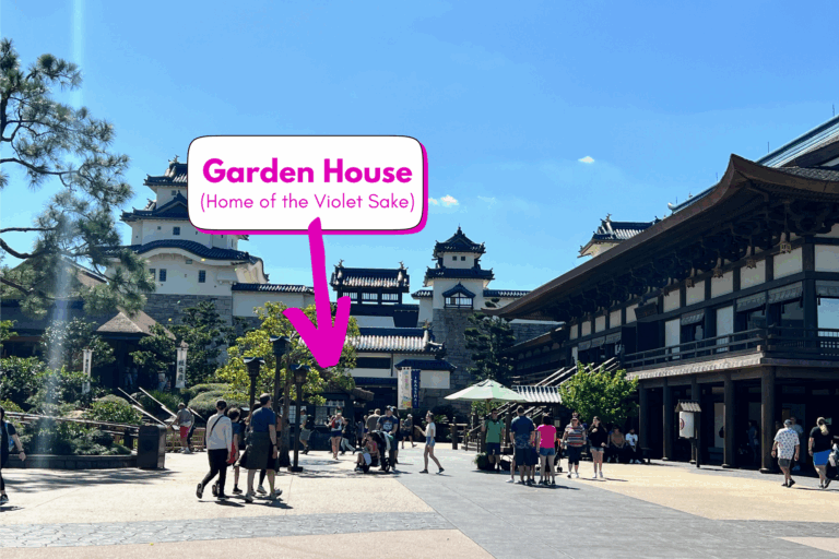 Violet Sake from EPCOT (with Recipe)