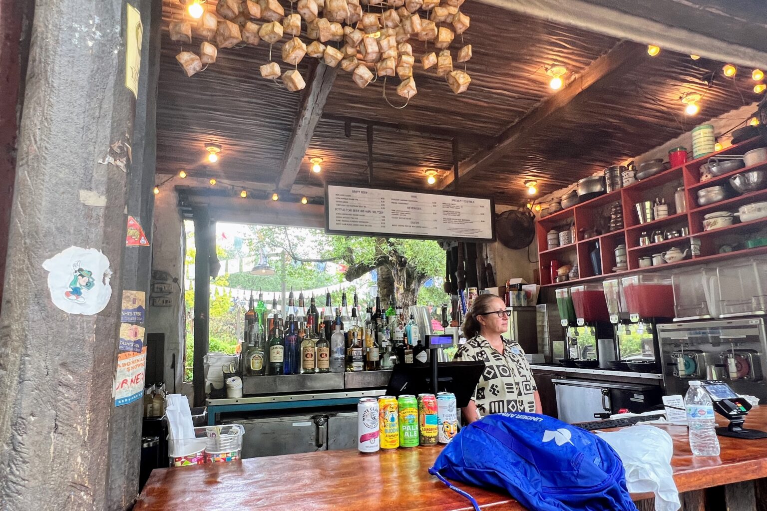 Drinking Around Animal Kingdom: Best Bars and Drinks (2025)